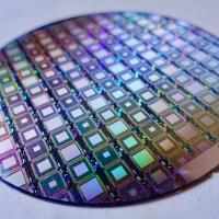 Cornell, Google first to detect key to quantum computing future