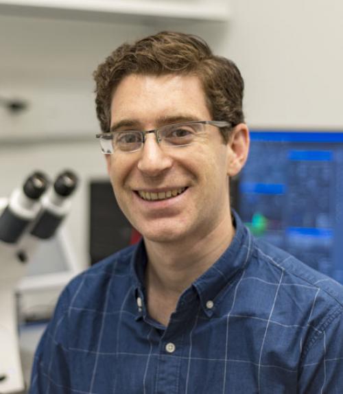 Meinig Investigator sees path to disease cure in lipids